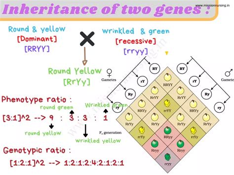 Mendelian Genetics Full Neet Notes Mission Nursing