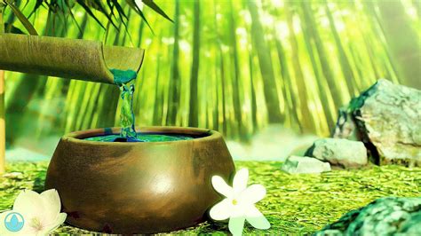 12 Hours Serene Bamboo Fountain Sounds And Relaxing Music For Stress