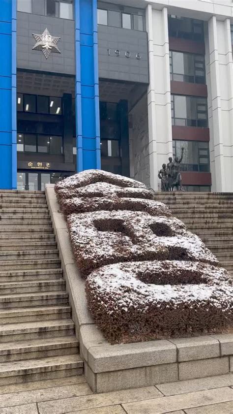 논문에 면접에 국가자격증 공부에 정신없이 지내다 보니 24년 1월에 중반을 벌써 넘어버렸다 어제 학교에 마지막 논문 저작권