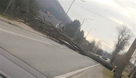 Powalone drzewa i zerwane dachy na Sądecczyźnie Liczne interwencje