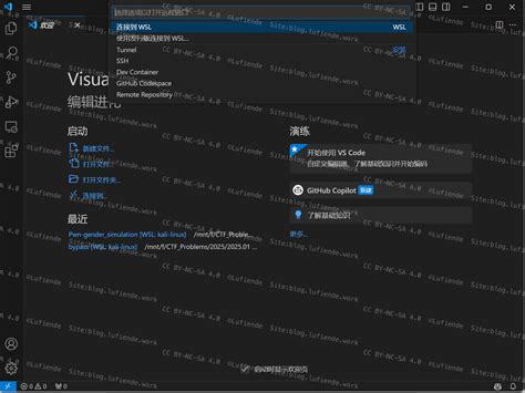 Pwn 基于 Wsl 的 Kali Linux 环境配置 Lufiendes Blog Pwn 基于 Wsl 的 Kali Linux 环境配置 Lufiendes Blog