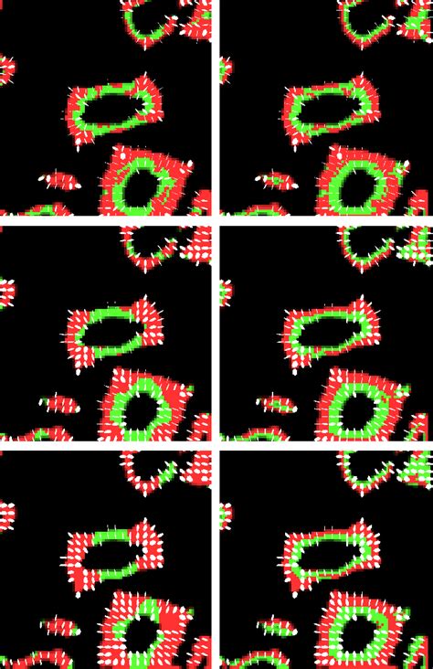 Sign Of The Mean Curvature Is Shown For A Cross Section Of A Wood Fibre Download Scientific