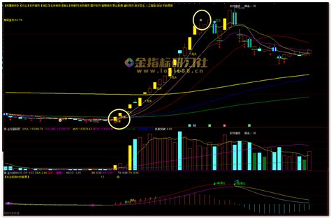 金钻通达信职业游资操盘系统套装为散户打造专业游资操盘模式 金指标研习社