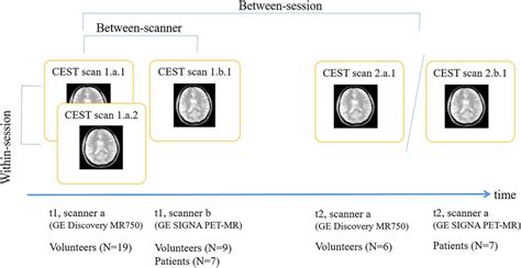 Description Of Reproducibility Experiments Including Within Session