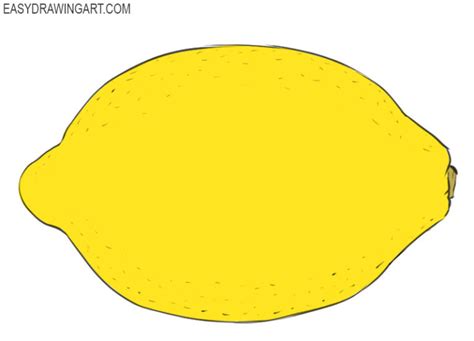 How To Draw A Lemon Easy Drawing Art Lemon Drawing Lemon Painting Lemon Art