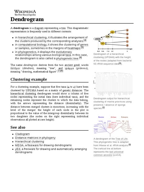 Dendrogram Pdf Phylogenetic Tree Mathematical And Theoretical Biology