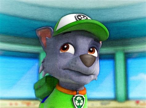 Rocky Paw Patrol Fan Art 40168388 Fanpop