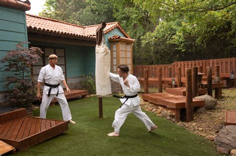Cobra Kai Creators On Ending Mr Miyagi Ai And Future Of Netflix Show