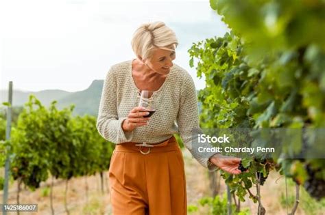 와인 포도 및 농장은 지속 가능한 포도원에서 알코올 한 잔과 함께 와이너리 부동산에있는 노인 여성과 함께합니다 농경지에서 성숙한 여성과의 농업 지속 가능성 및 녹색 사업
