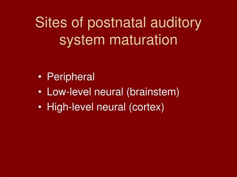 Ppt Issues In Human Auditory Development Powerpoint Presentation