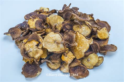 Harry27868鎮西堡香菇段木香菇香菇高山香菇菌類蕈類食材農業鎮西堡原住民部落泰雅族部落部落新竹縣尖石鄉