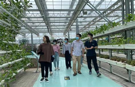 旅游学院教师赴开封开展社会服务，推进校企合作 河南牧业经济学院