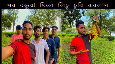 সব বন্ধুরা মিলে লিচু 😋 চুরি করলাম কয়েক বছর পর গাছ থেকে লিচু পারলাম