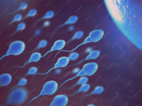 Premium Photo Sperm And Egg Cell On Microscope Scientific Background