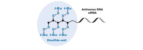 Separation Of Oligonucleotides Modified With Disulfides Metrolab Blog