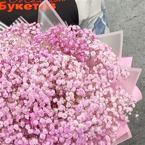 Букет из гипсофилы купить с доставкой в Москве | Миллион Букетов