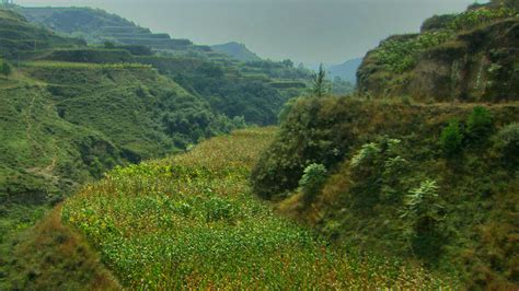 Learning To Communicate The Lessons Of The Loess Plateau Regeneration