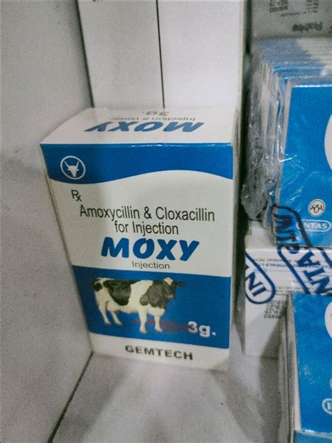 Amoxycillin Cloxacillin Injection In Delhi एमोक्सिसिलिन क्लोक्सासिलिन इंजेक्शन दिल्ली Delhi