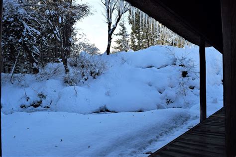 正受老人を看よ～後編を紹介～35歳で飯山に戻ってこられてからの正受老人が書かれている後編を紹介 箱店屋横丁大家の店番日記