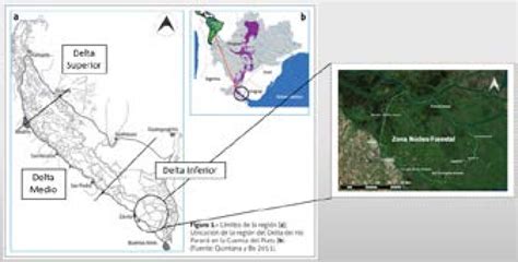 El Delta Del Río Paraná Ubicación Regional Secciones Principales Y