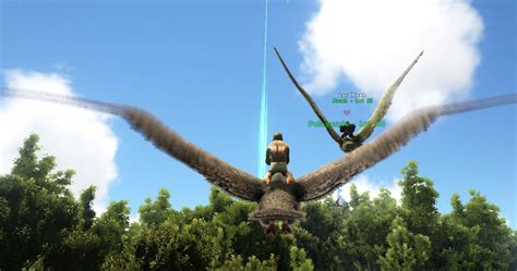Ark Survival Evolved How To Tame Dinosaurs Nitrado