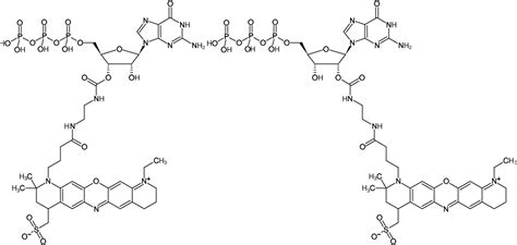 EDA GTP ATTO 655 EDA GTP Jena Bioscience