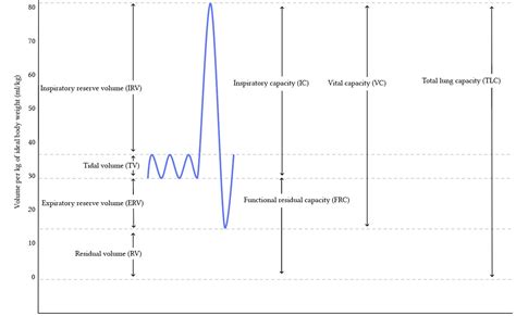 Question 18 2017 Paper 2 Deranged Physiology
