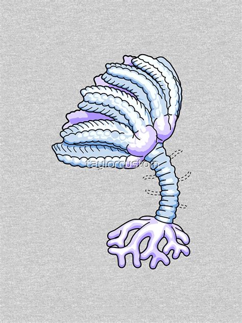 Fossil Crinoid Illustration T Shirt By Taylorcustom Redbubble