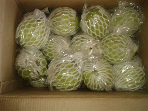 Supreme White Epe Foam Net At Best Price In Hyderabad Id 12564166788