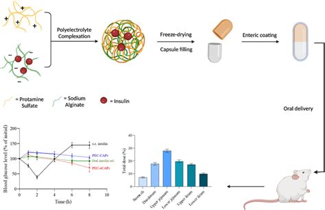 Design And In Vitro In Vivo Evaluation Of Polyelectrolyte Complex Nanoparticles Filled In