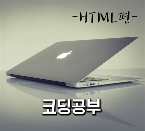 코딩공부 Html 아이디 비밀번호 텍스트 입력 폼 만들기 네이버 블로그