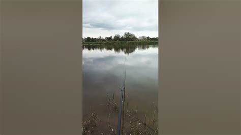 Идеальная погода для рыбалки на поплавок #рыбалка #fishing #карась # ...