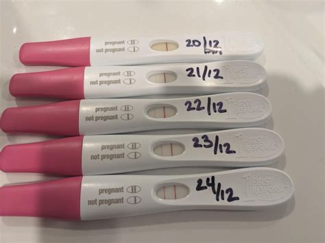 Frer Unknown Dpo R Tfablineporn
