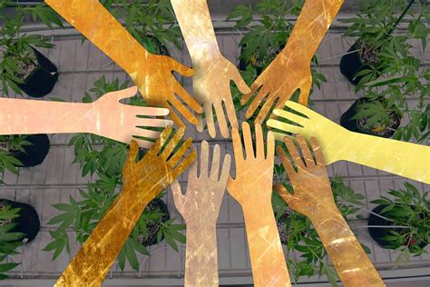 Social Equity Concerns Raised Over Vermont Adult Use Cannabis Bill