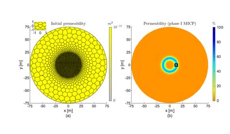 A Initial Permeability And B Permeability Reduction After Injection