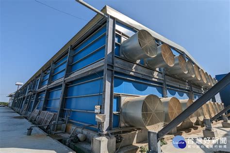 鼓勵養禽產業升級 南市呼籲業者提出禽舍改建申請