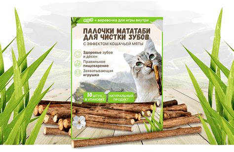 Инфографика, карточка товара, мататаби для кошек on Behance