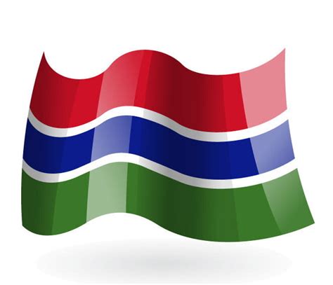 무료 다운로드 감비아 국기 Eps Ai Uidownload