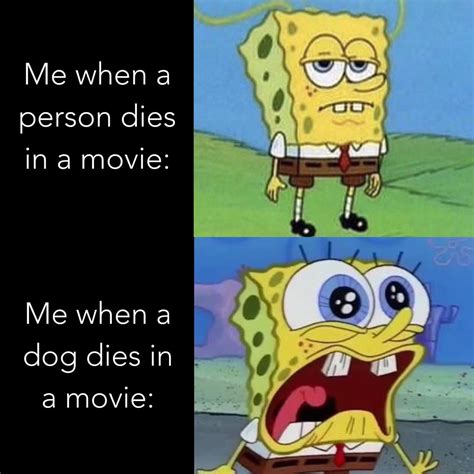 You Wont Last 30 Seconds Playing This Game Rbikinibottomtwitter