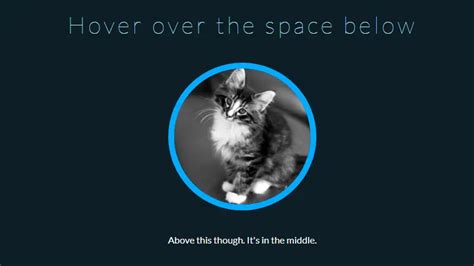 16 Best Free CSS Reveal Animations In 2025