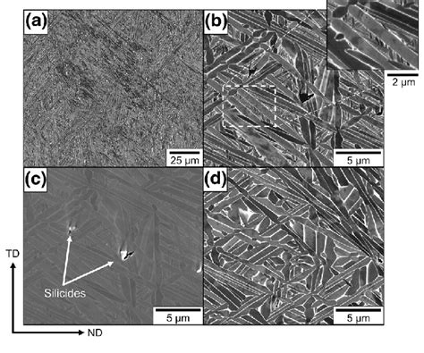 SEM Micrographs Showing The Un Peened Ti6242 Control Sample S Typical