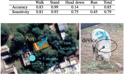 Figure 4 From Wearable Device To Monitor Sheep Behavior Semantic Scholar