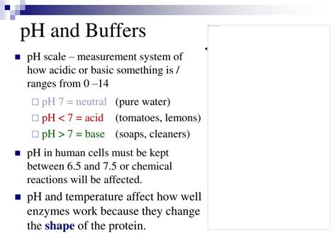 What Is A Buffer Ph Scale At Colby Westlake Blog