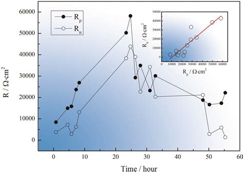 Comparison Of Rn And Rp And Their Linear Relationship Download Scientific Diagram