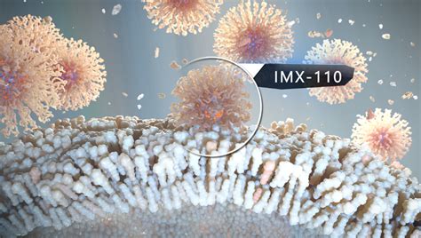 Immixbio Completes Gmp Manufacturing Of Scaled Up Batch Of Imx 110 For
