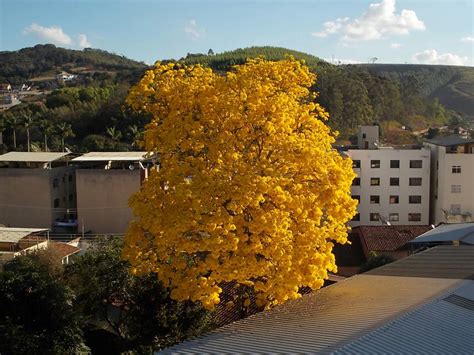 20 lindas cidades da Zona da Mata Mineira Conheça Minas