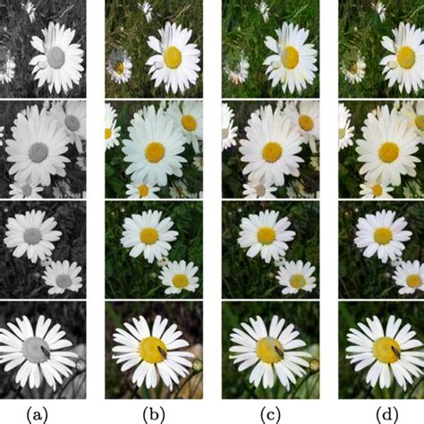 Experiments On The Conditional And Nonconditional Effects Of The