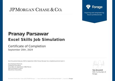 pranay parsawar on linkedin excelskills datavisualization