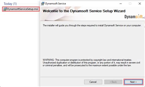 installing the dynamsoft service component