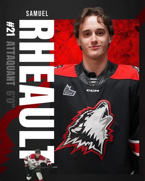 Un Regard Sur La Meute 2025 2026